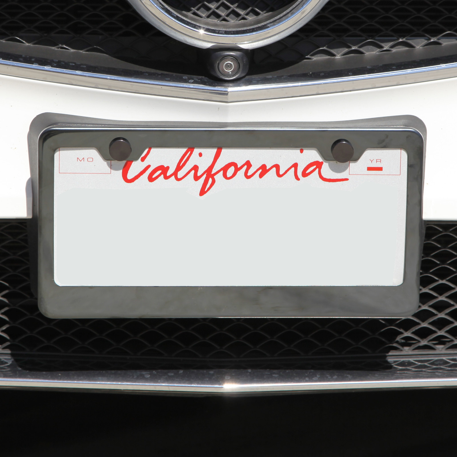 Titanium Gun Metal License Plate Frame 3 SPORT Laser Etched Metal Screw ...