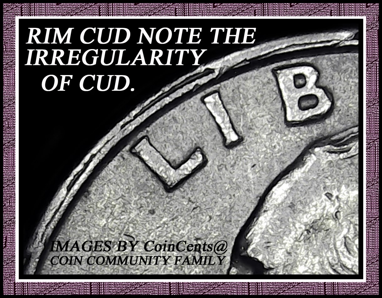 I Need Your Opinion To Confirm If This Penny Has A Rim Or Edge Or ...