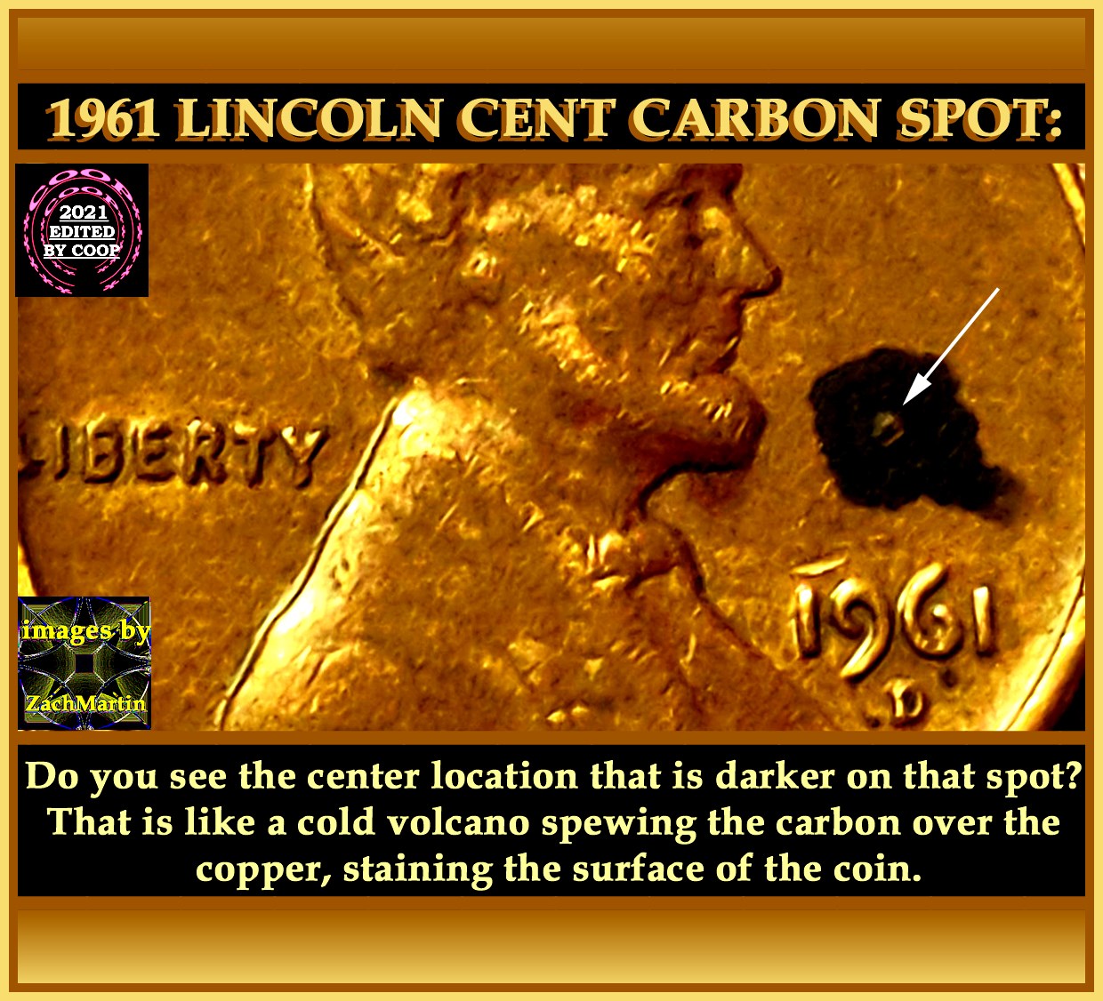 How Can One Slow The Development Of Black Spots On Recent Lincoln ...