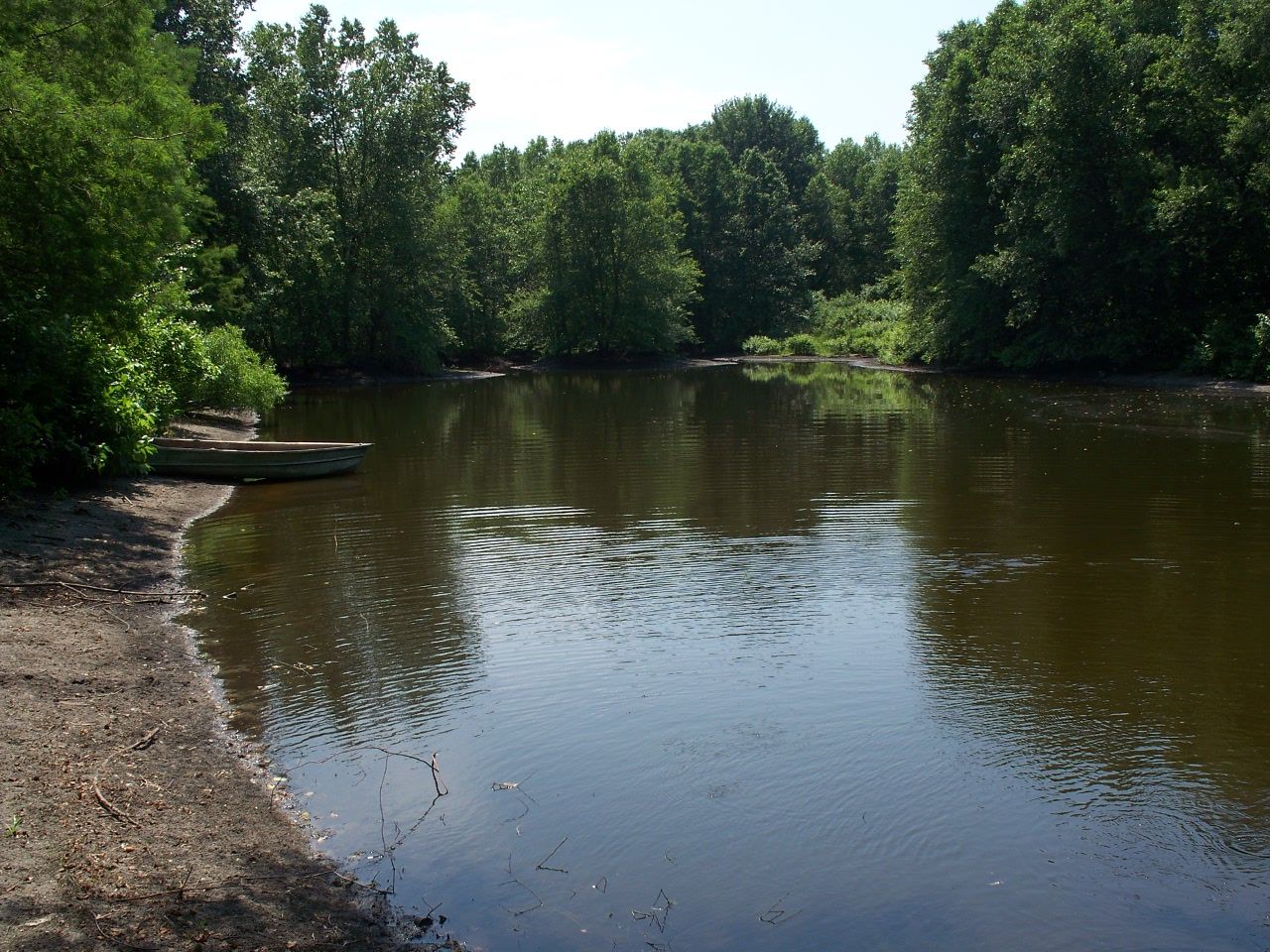 Do GSH contribute to muddy water conditions? - Pond Boss Forum