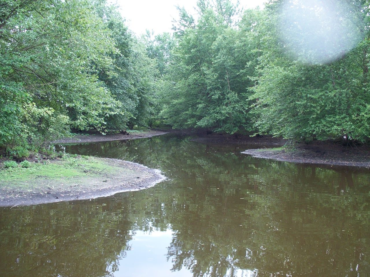 Do GSH contribute to muddy water conditions? - Pond Boss Forum