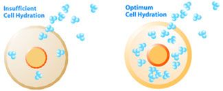 Drinking Water Experts: Water Health